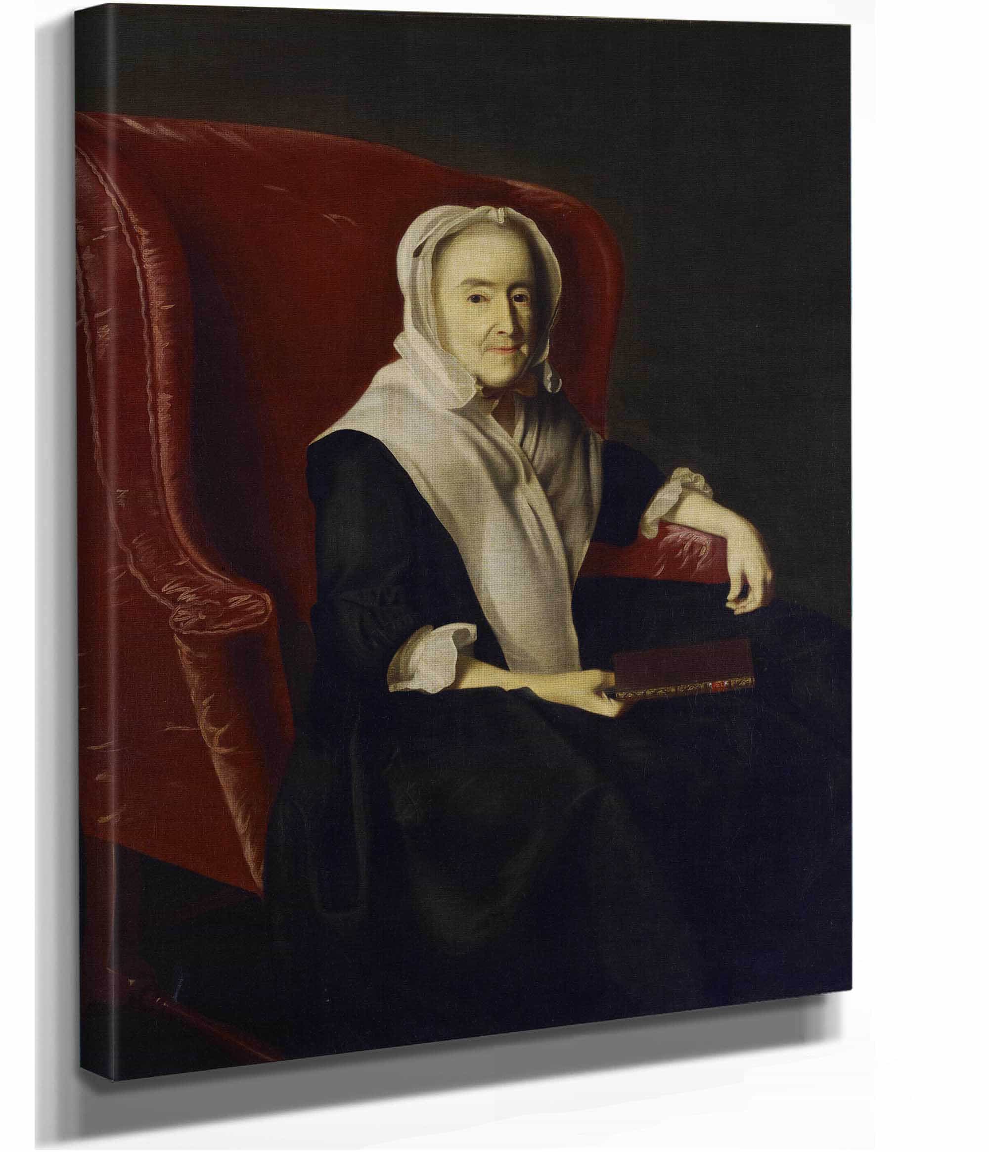 Mrs John Powell Anna Susan Dummer by John Singleton Copley Print from – Truly Art