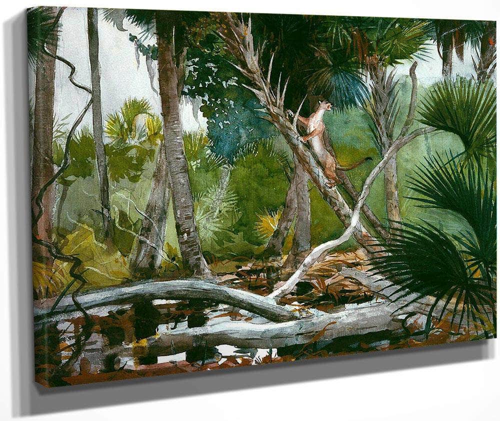 In The Jungle Florida By Winslow Home Print, Canvas Art, Framed Print ...